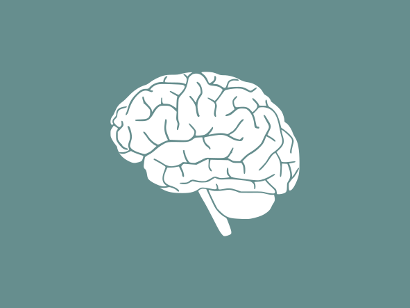 Corteccia PreFrontale, HEG e NeuroFeedback - Open Academy of Medicine